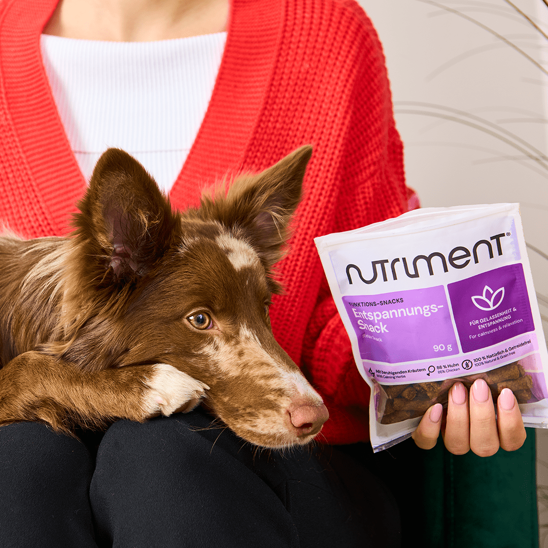 Alle Hundefutter Produkte Nutriment: BARF & Frische | Nutriment Deutschland